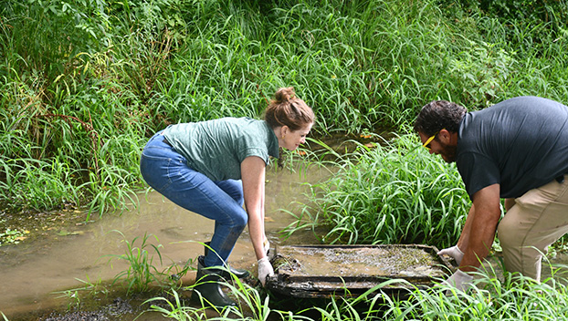 Strodes Creek gets its annual cleaning | Winchester Sun